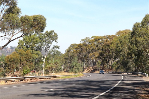 Home | Mount Alexander Shire Council