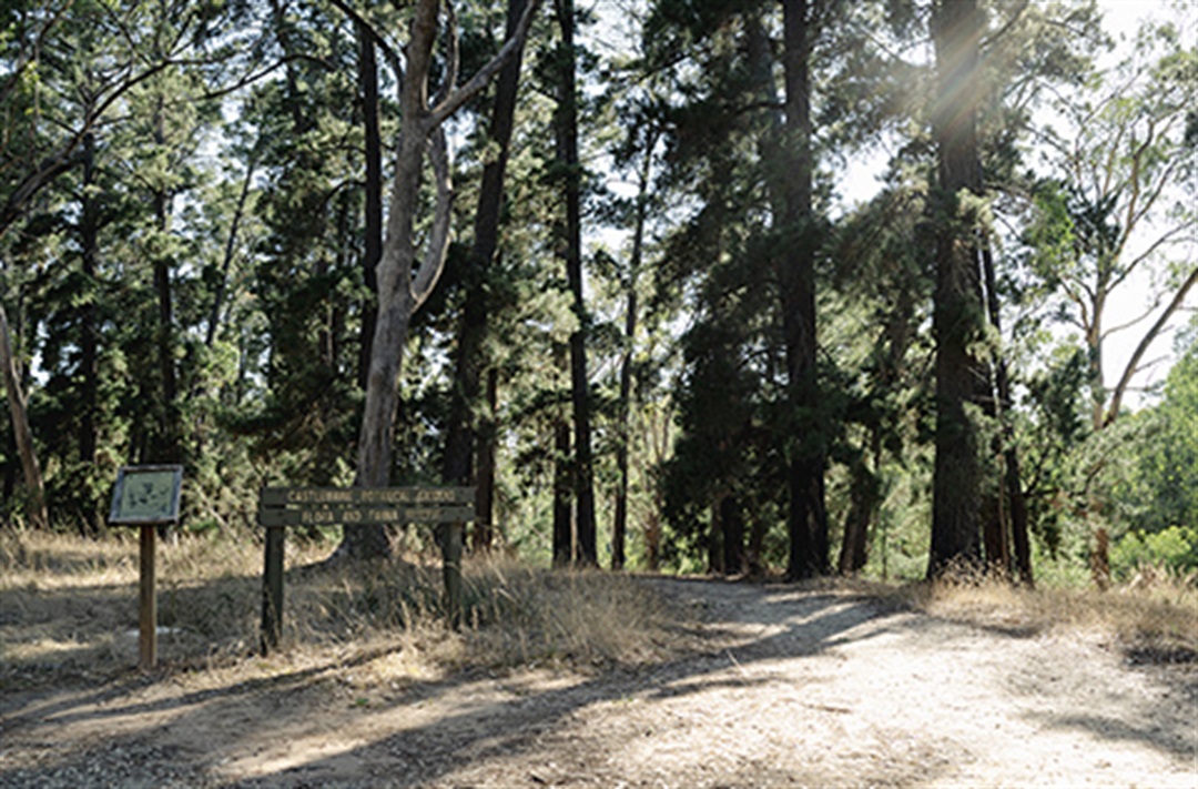 Flora and fauna reserve | Mount Alexander Shire Council