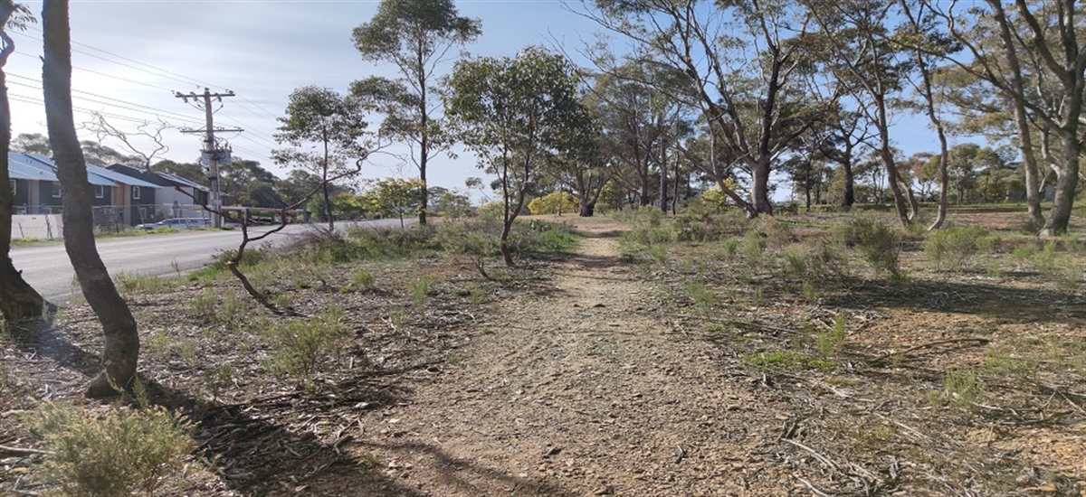Footpath design for Reckleben and View streets | Mount Alexander Shire ...